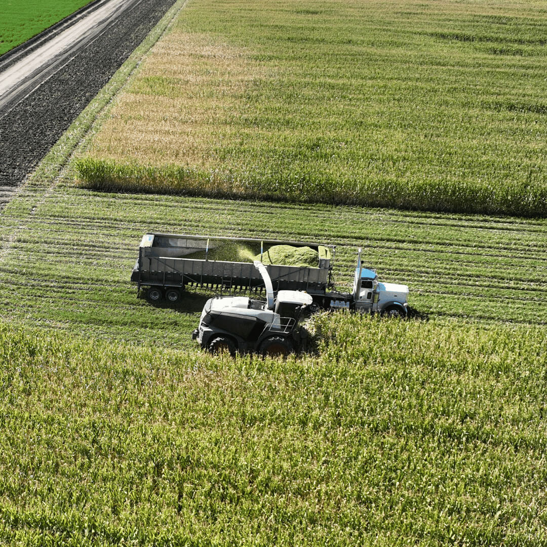 AGRI-FLEX Belt Trailers | Versatile, High Capacity Silage Trailer | Trinity