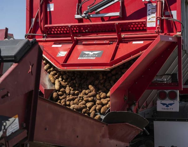 Hauling Agricultural Commodities | Versatile EAGLE BRIDGE® Belt ...