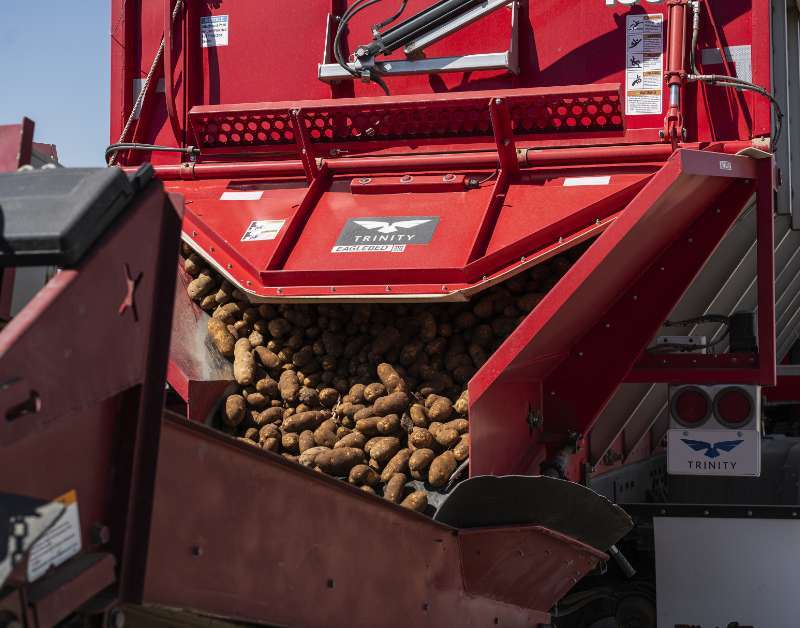 Hauling Agricultural Commodities | Versatile EAGLE BRIDGE® Belt ...