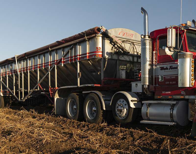 Hauling Potatoes Made Easy | The Original EAGLE BRIDGE Belt Trailer ...